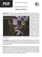 Grade 4 Science: Seed Germination Plan | PDF | Seed | Germination