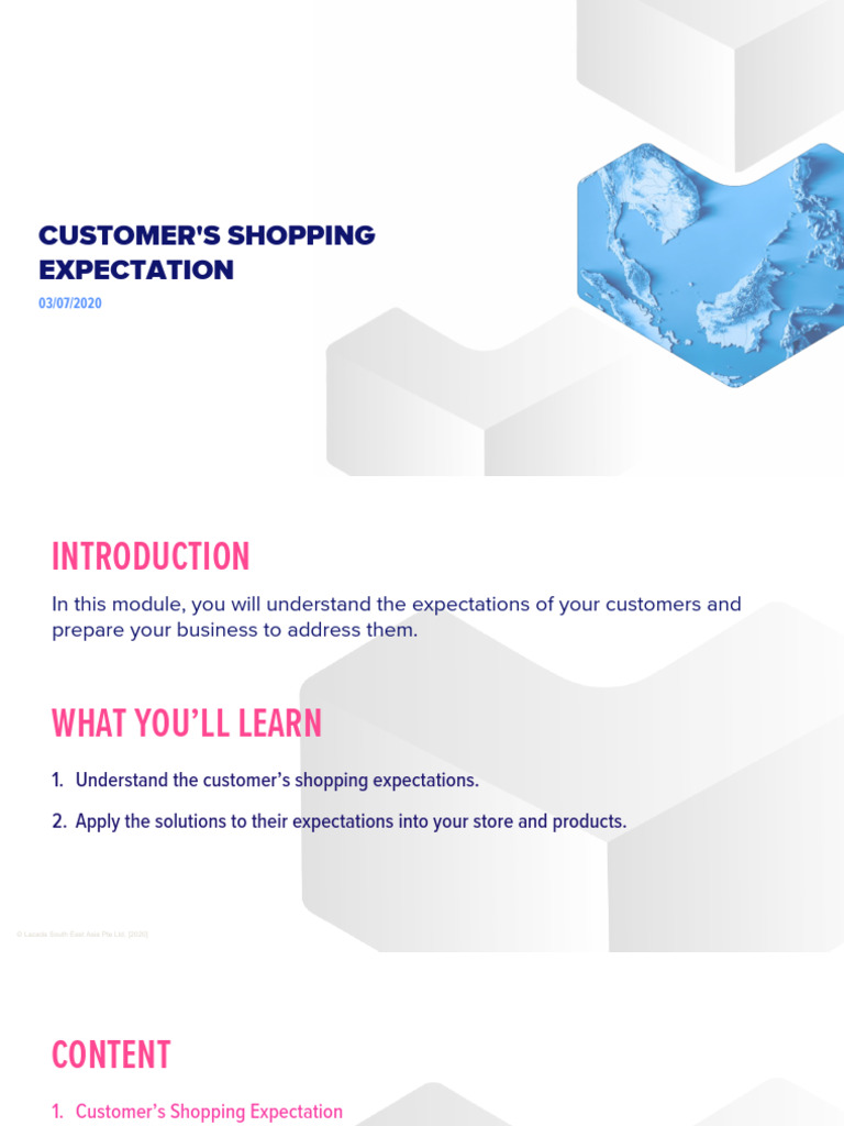 En Shopping Expectation | PDF