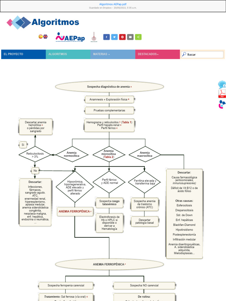 Algoritmo Anemia AEPap | PDF | Especialidades Medicas | Medicina