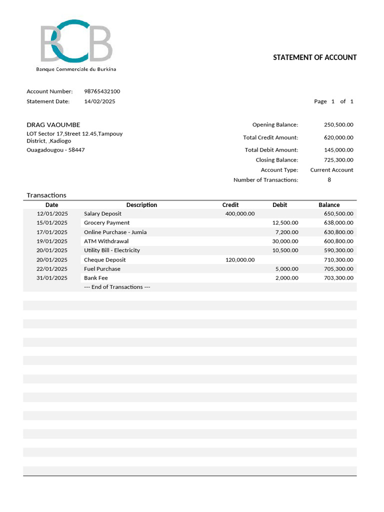 Bank Statement Summary - Feb 2025 | PDF