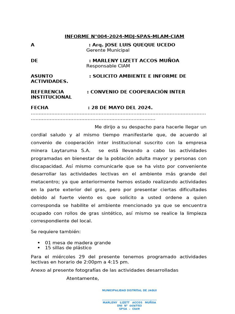 Informe #004-Ciam | PDF