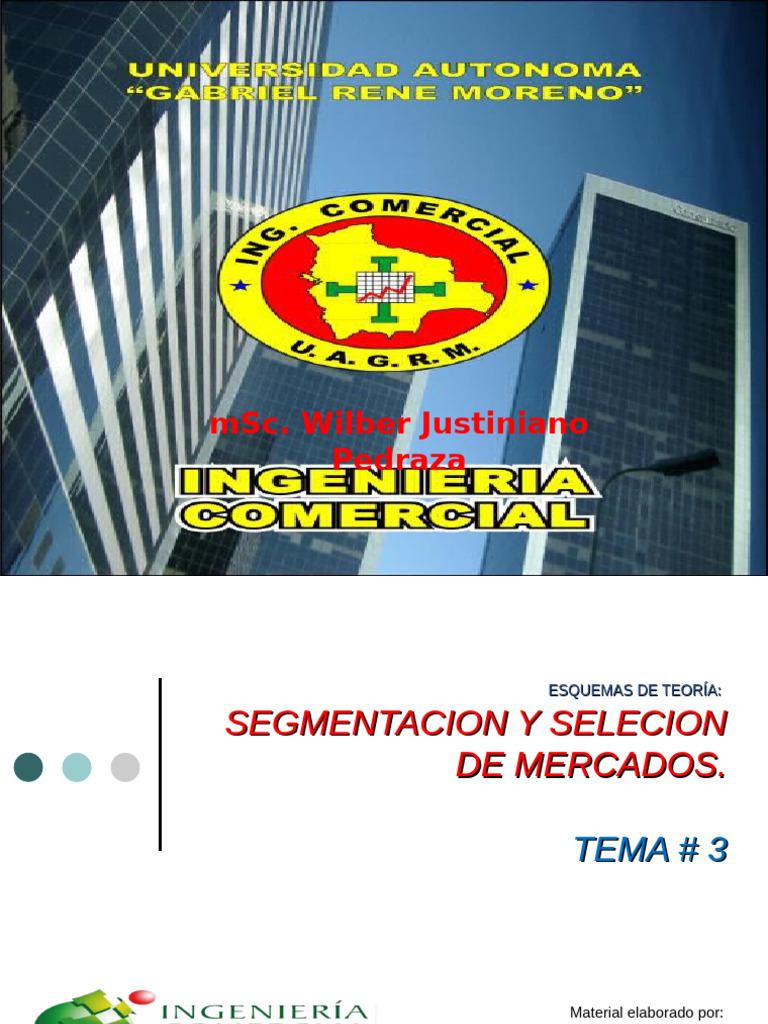 Tema 3 Segmentacion Y Seleccion De Mercados Pdf