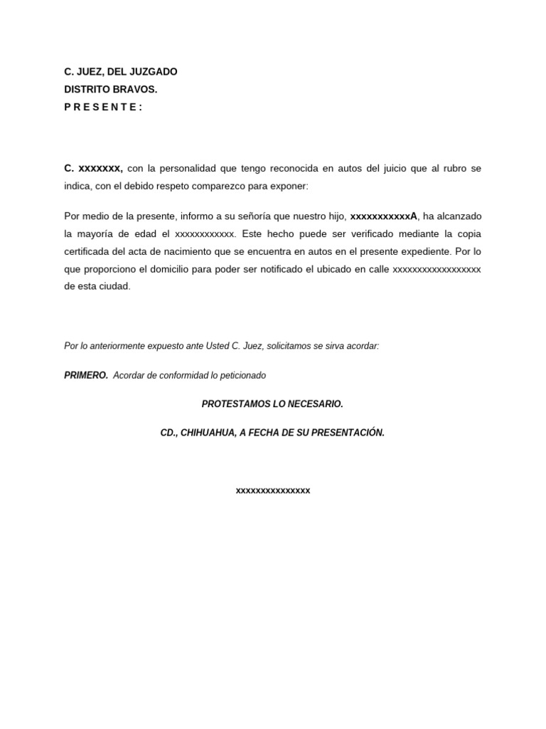 Informe Mayoria Edad | PDF