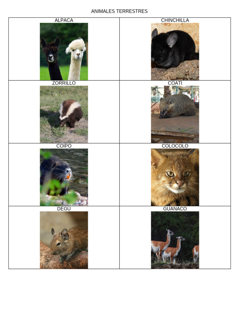 Animales Terrestres y Marinos Listados | PDF