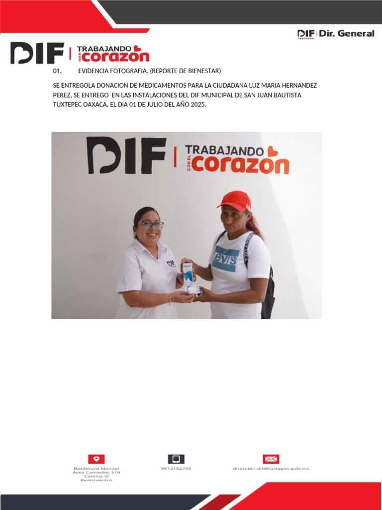 Plantilla de Formato 2 | PDF