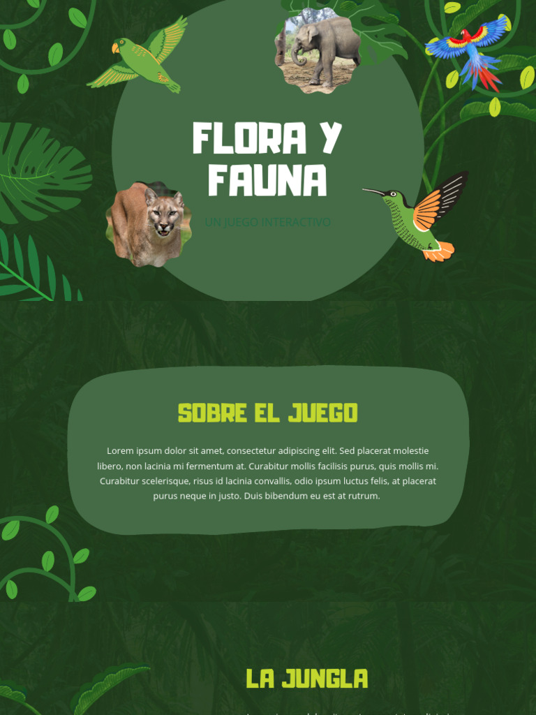 Presentación Juego Infantil Niños Jungla Selva Animales Ilustrativo ...