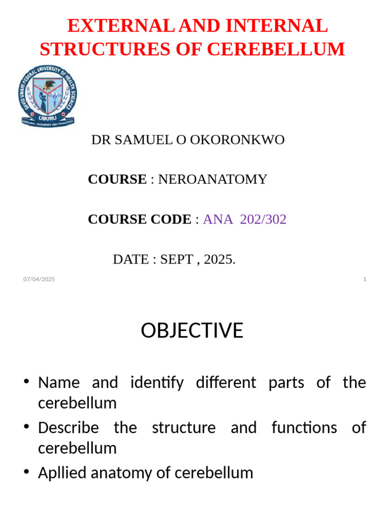 ANA 202 Cerebellum | PDF | Cerebellum | Neuroanatomy