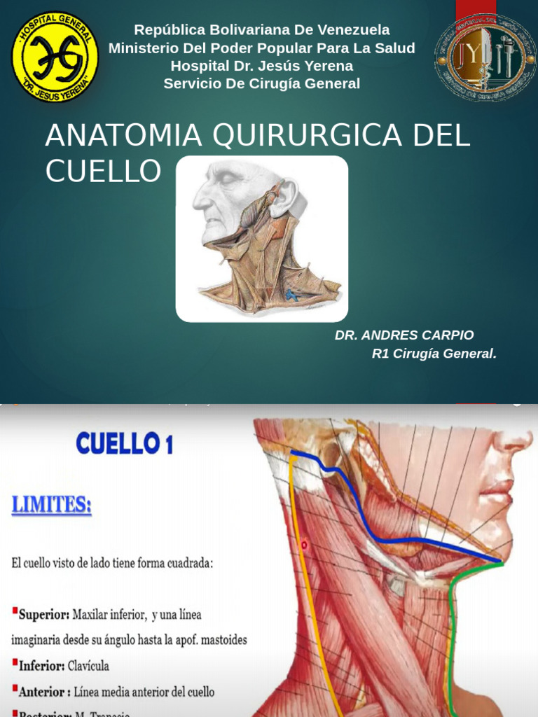 Anatomia Quirurgica Del Cuello[1] | PDF
