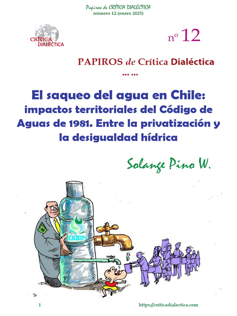 Saqueo del agua en Chile: desigualdad y crisis | PDF | Agua | Chile