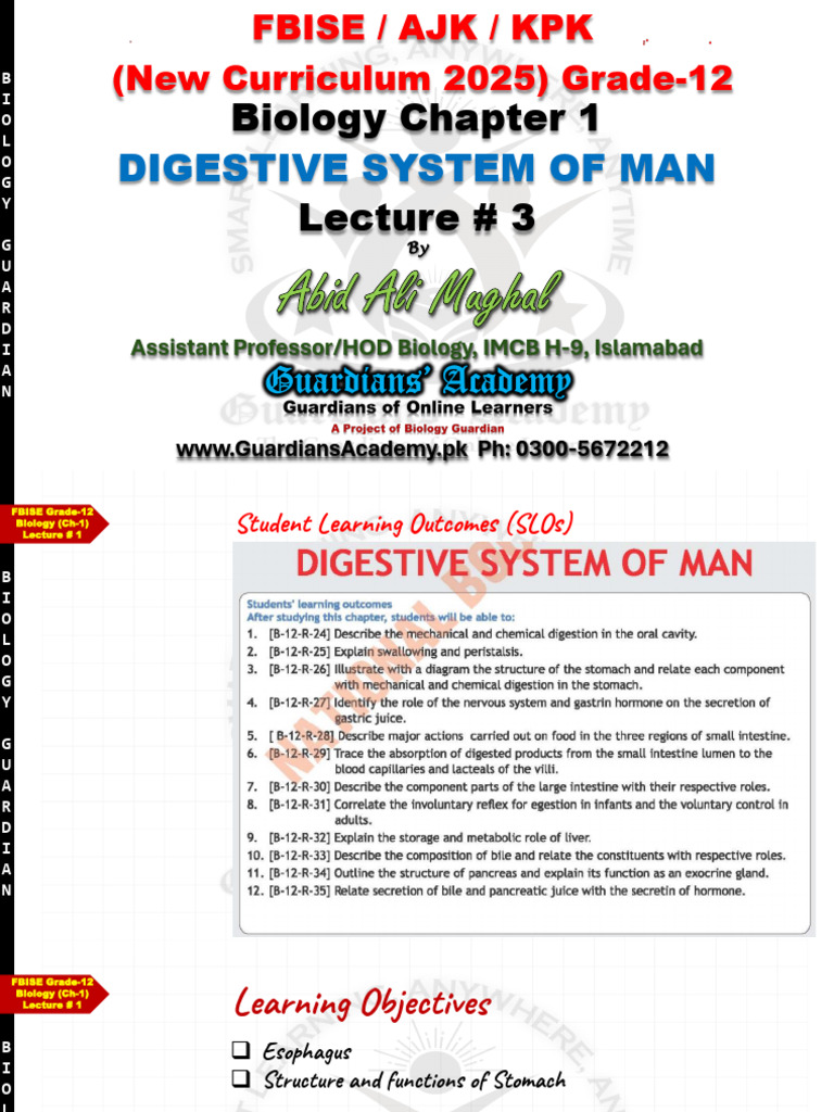 Grade 12 Biology: Digestive System | PDF | Stomach | Gastroenterology
