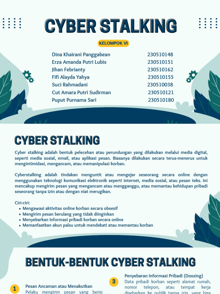 Cyber Stalking | PDF