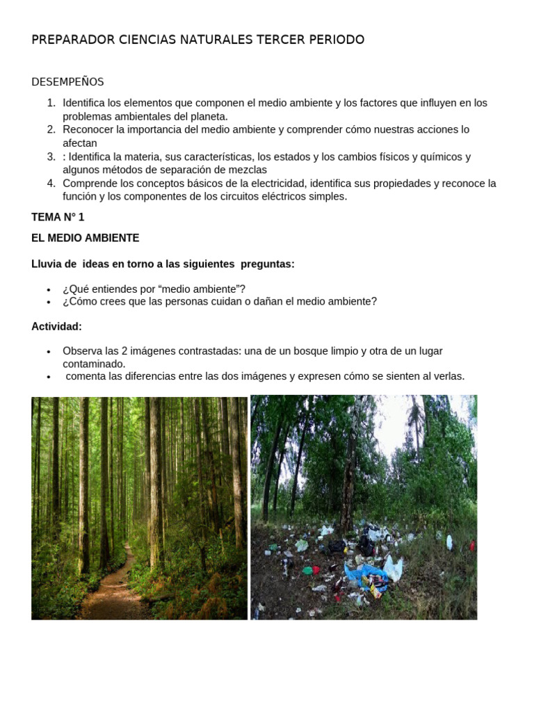 Tema El Medio Ambiente Grado 5 | PDF | Entorno natural | Contaminación