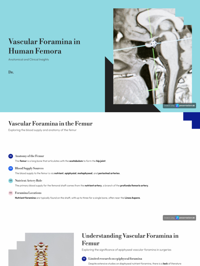 A Descriptive Correlational Study of Vascular Foramina in Adult Human ...