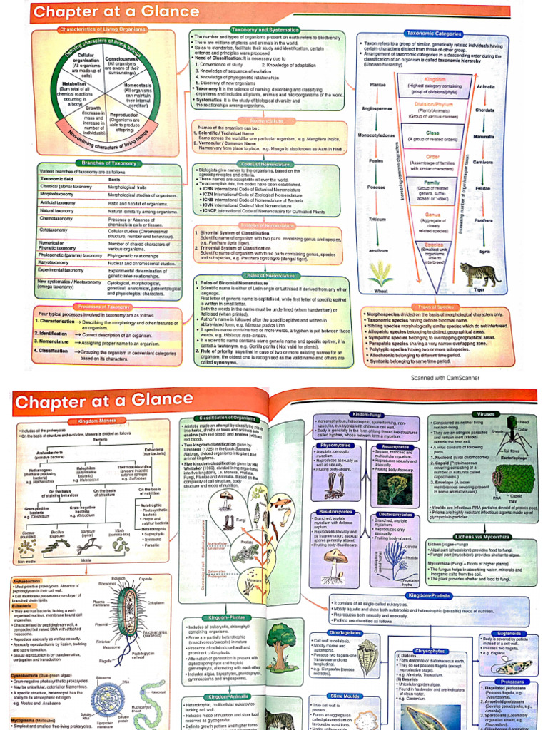 11th Biology Chapters - Short notes | PDF