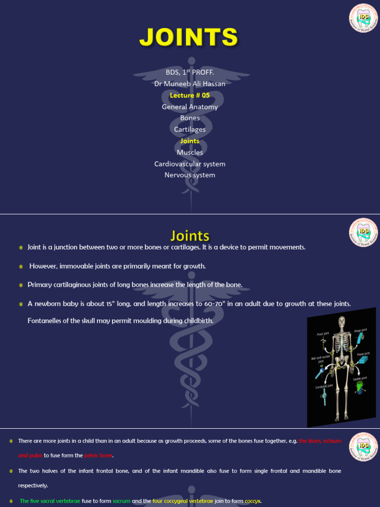 Joints and Its Classification For BDS 1st Prof. | PDF | Joint | Anatomical Terms Of Motion