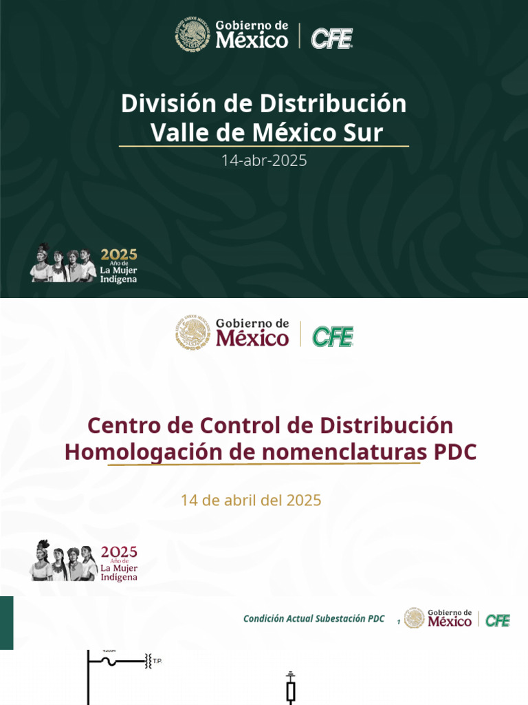 Accion Preventiva Correctiva Cambio Nomenclatura PDC (2) | PDF