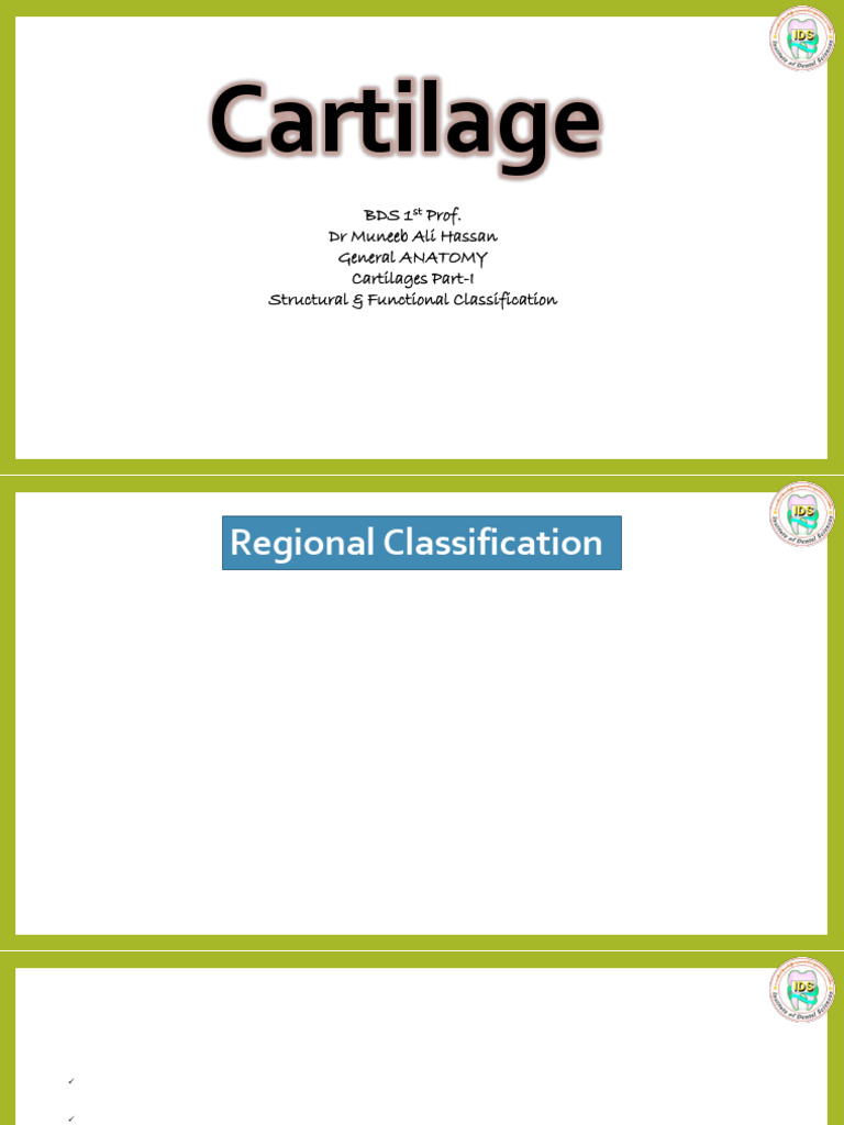 Regional Classification of Cartilages | PDF | Respiratory Tract | Cartilage