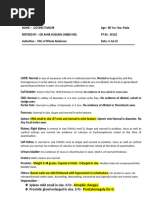 Normal Chest Ultrasound Report | PDF