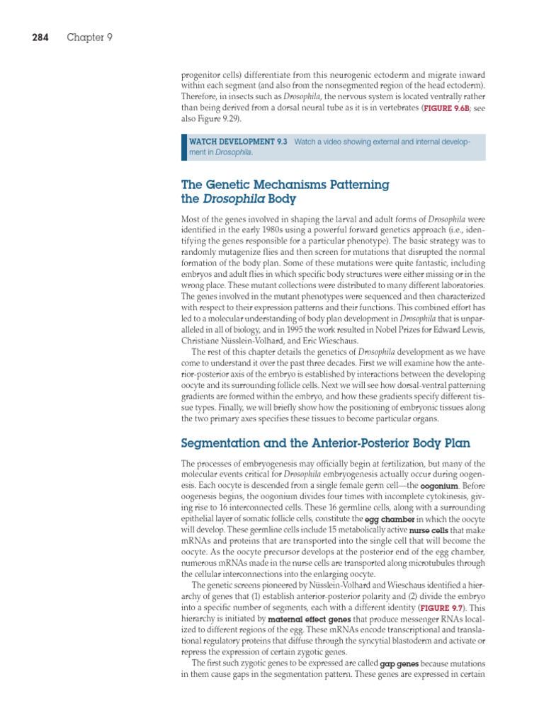 Axis Specification Drosophila | PDF | Cell Biology | Biology