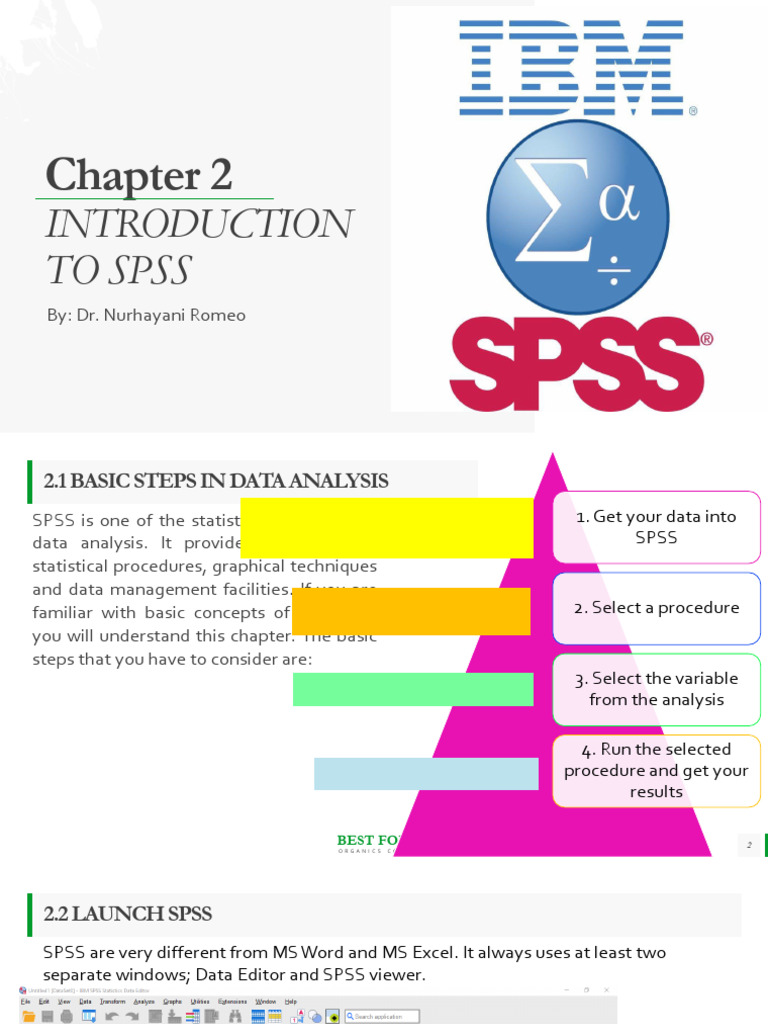 SPSS Data Analysis Basics Guide | PDF | Spss | Skewness
