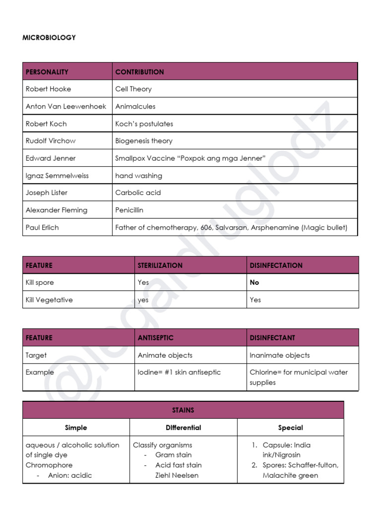 PhLE Module 6 | PDF | Antibody | White Blood Cell