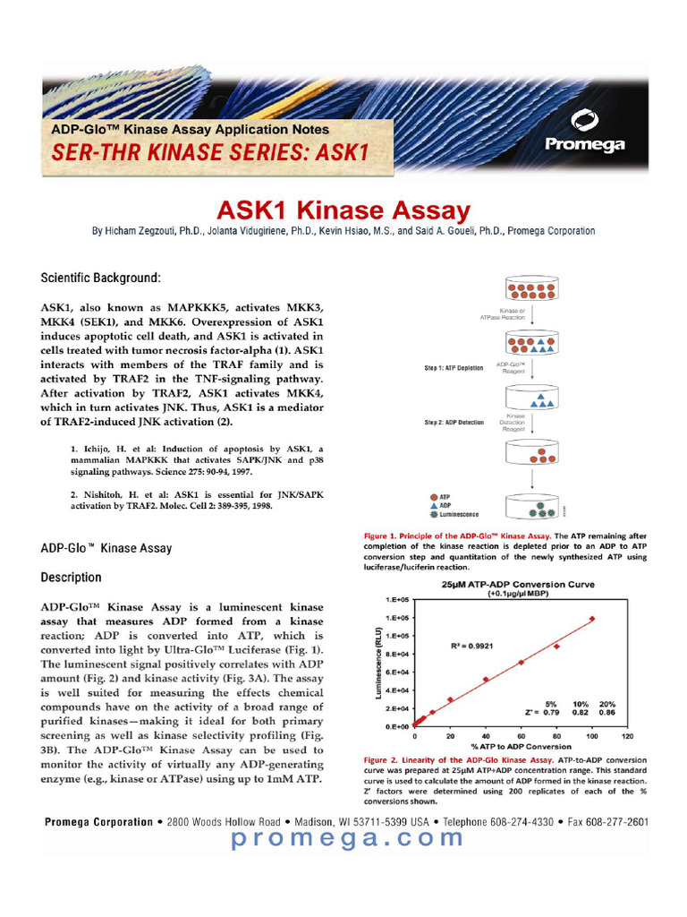ASK1 Kinase Assay Protocol | PDF