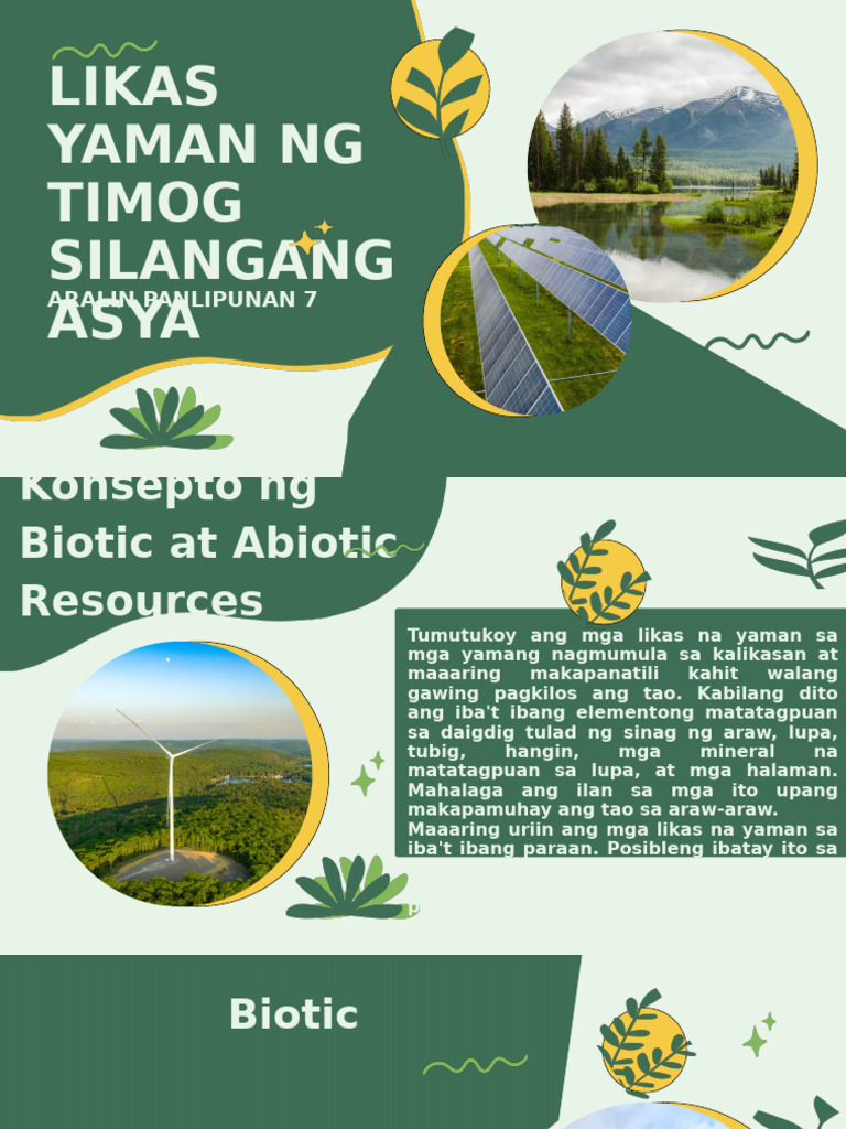 Likas Na Yaman NG Timog Silangang Asya | PDF