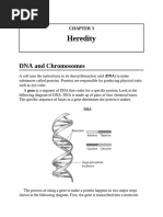 Amoeba Sisters - Video REcap | PDF | Dna | Gene