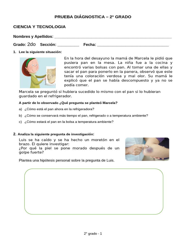 Prueba Diagnóstica de Ciencia 2° Grado | PDF | Panes
