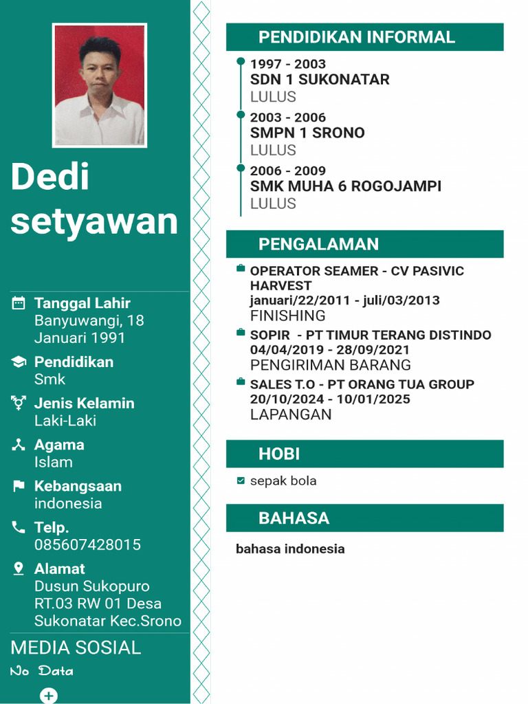 Dedi CV | PDF