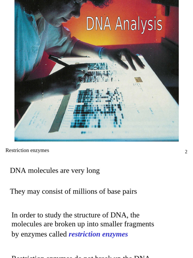 Genetic Fingerprinting Techniques Explained | PDF | Dna Profiling | Dna