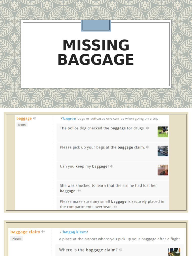 Miss Baggage | PDF