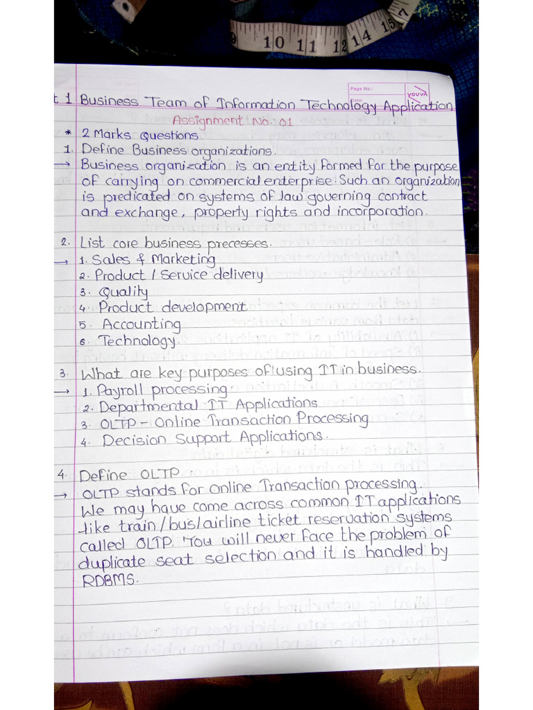 BI Assignment 1 | PDF