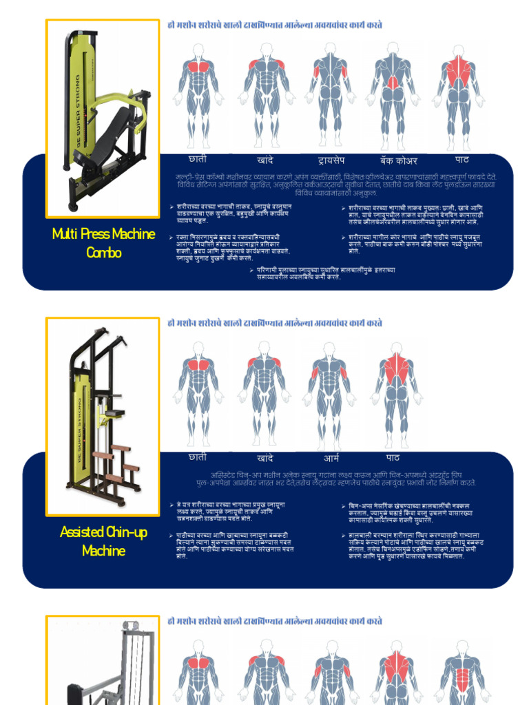 Gym Sticker | PDF