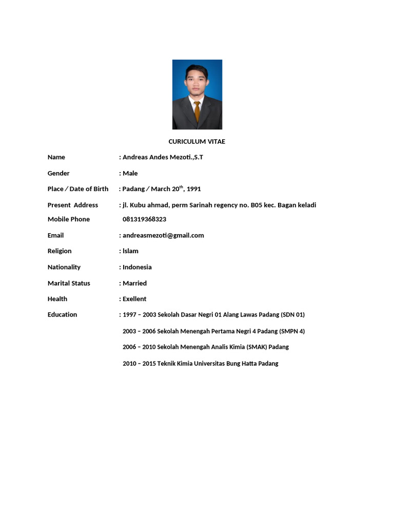 CV Andreas Andes Maizoti Ok | PDF | Chemistry | Chemical Engineering