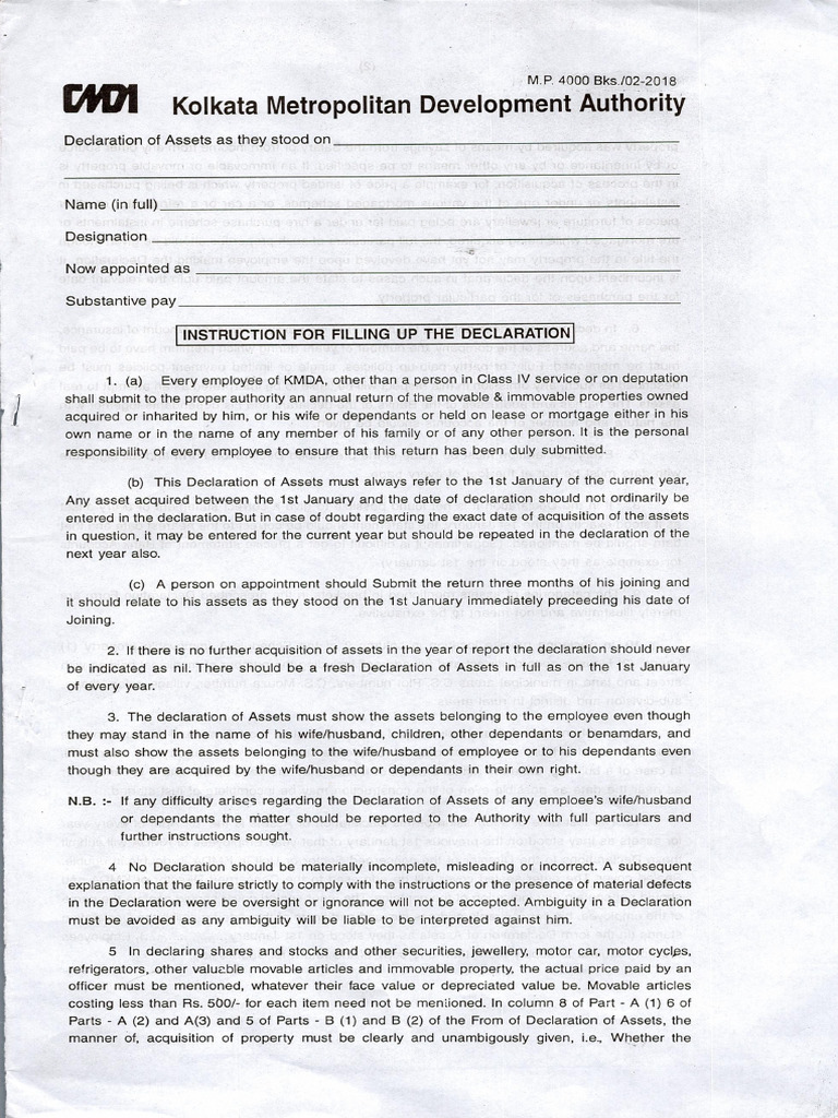 Declaration of Assets | PDF