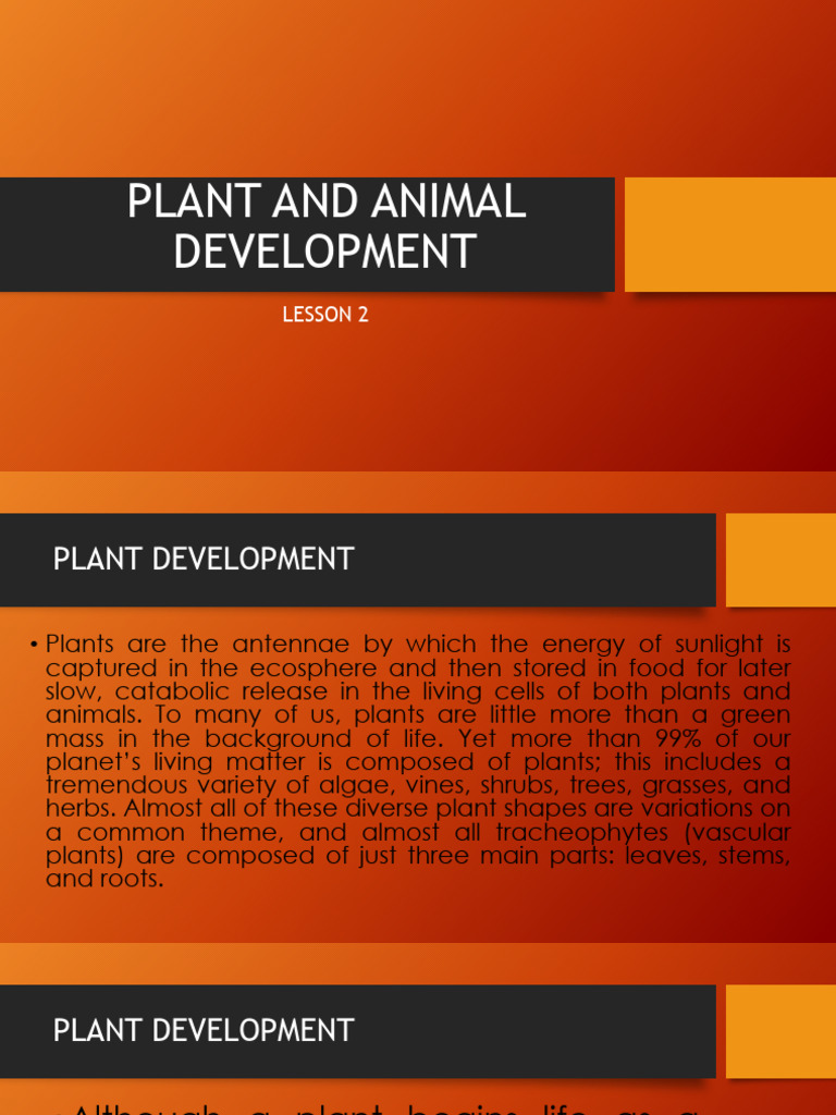 Plant and Animal Development Overview | PDF | Seed | Embryo