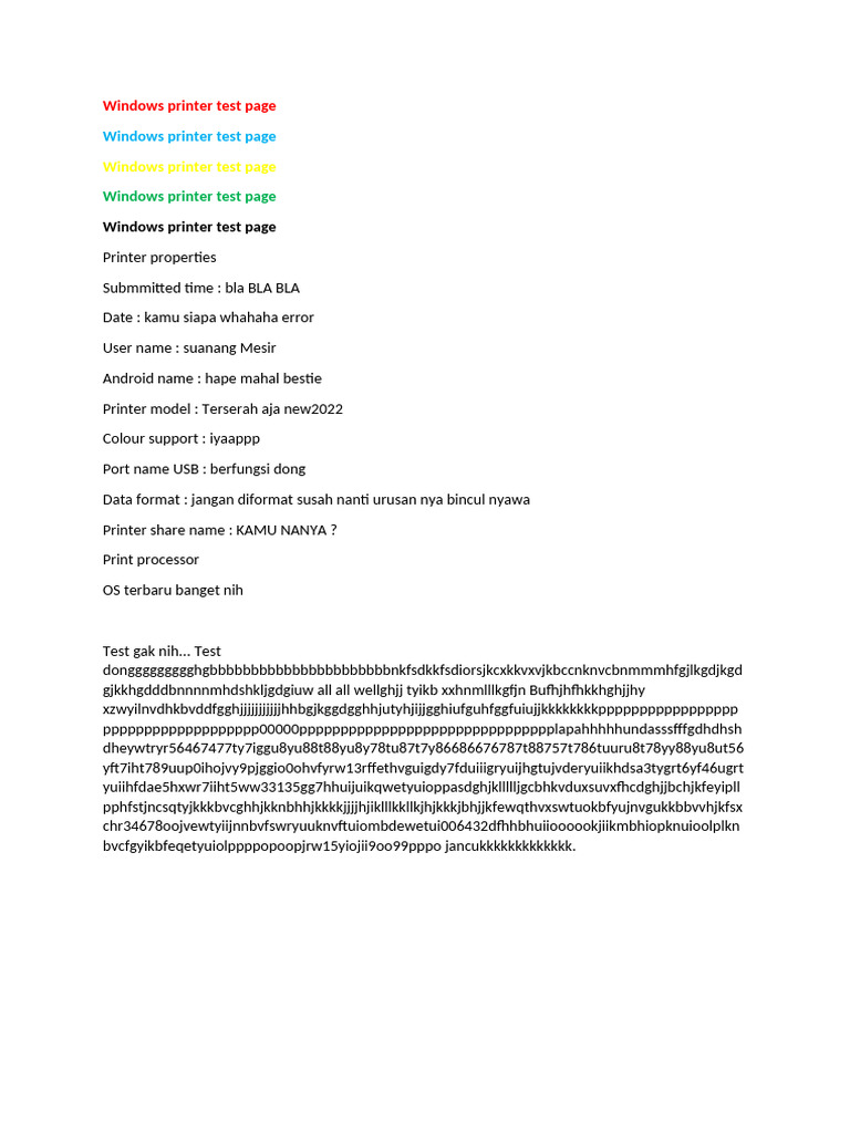 Test Windows | PDF