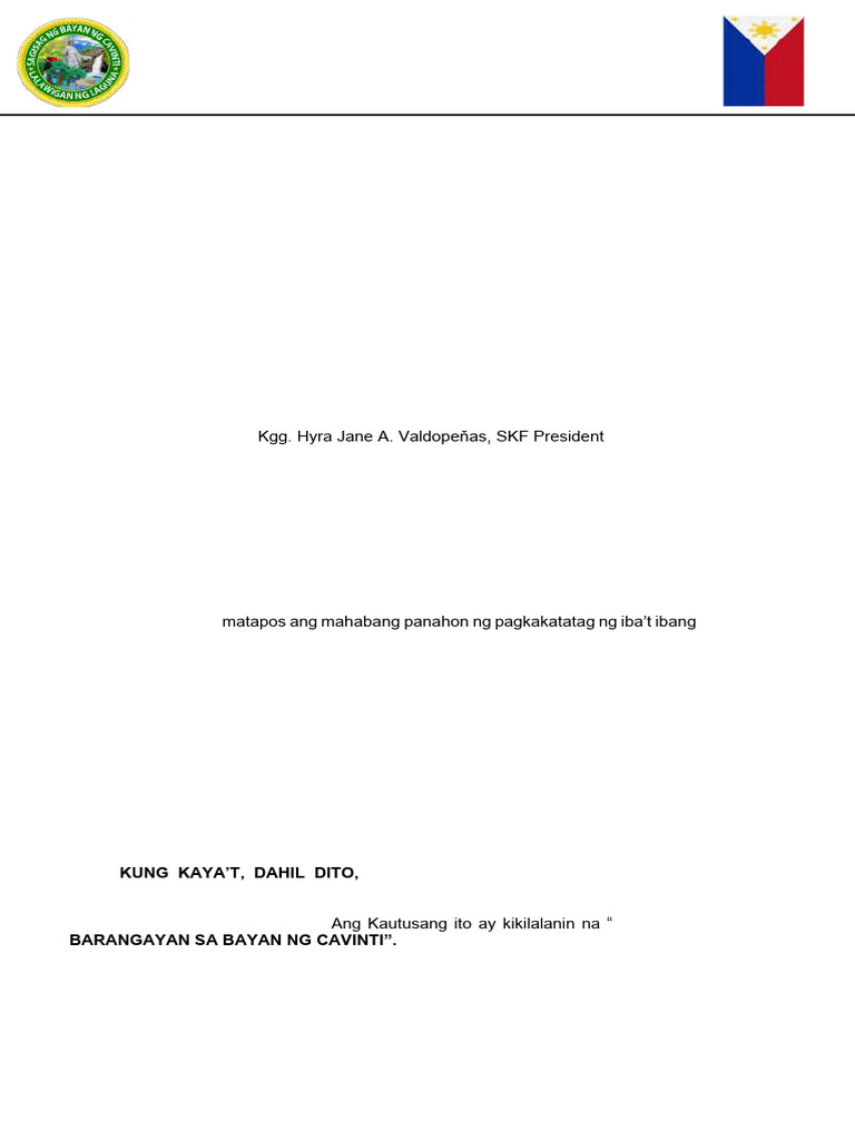Mun. Ordinance - Sample - Missing Provisions | PDF