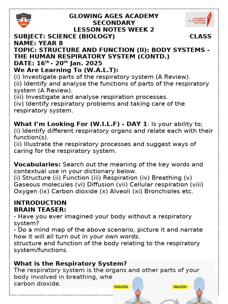 Human Respiratory System Lesson Plan | PDF | Respiratory Tract | Lung