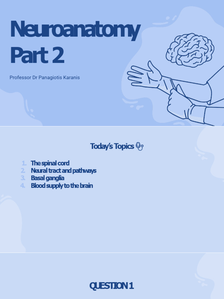 Neuroanatomy: Spinal Cord & Pathways | PDF | Spinal Cord | Neuroanatomy