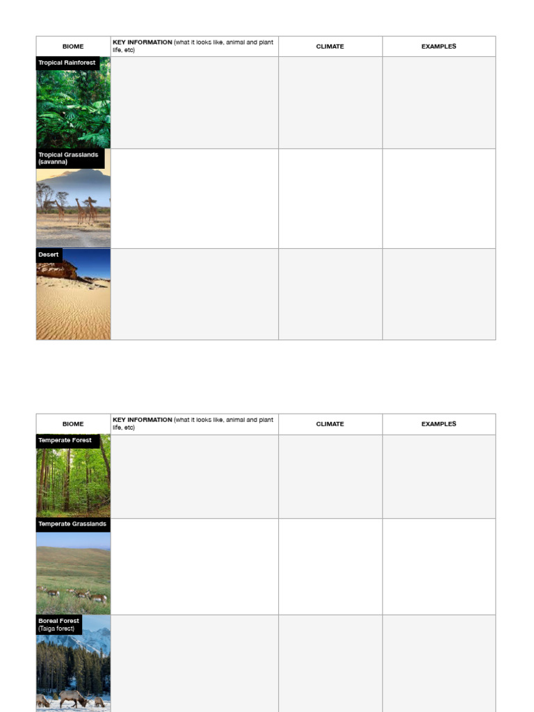 Earth's Biomes | PDF