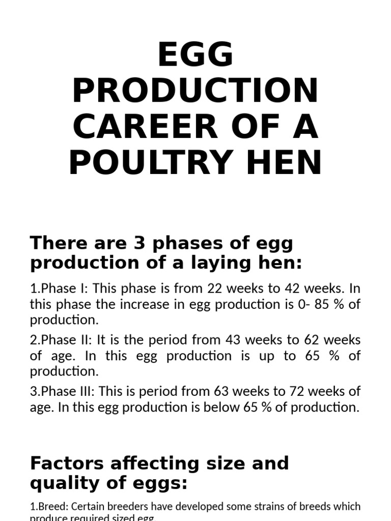 Egg Production Phases and Quality Factors | PDF | Egg | Poultry