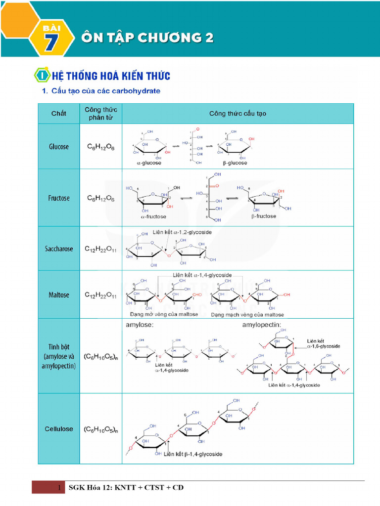 Bai 7 On Tap Chuong 2 de Kiem Tra Hsdocx 3200 PDF - Gdrive.vip | PDF