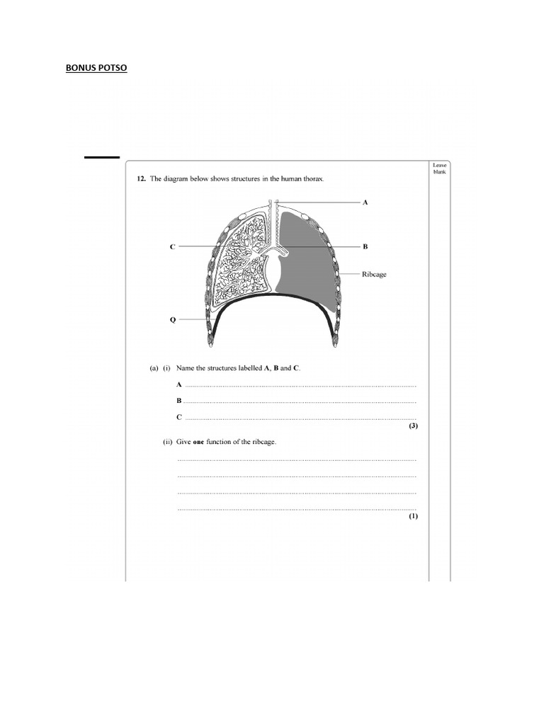 Bonus Potso | PDF