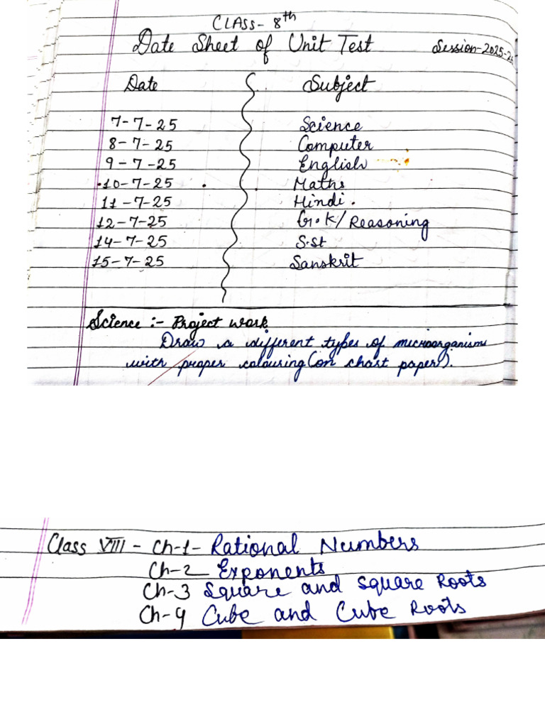 Class 8th Syllabus or Datesheet | PDF
