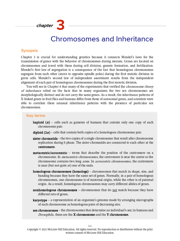 Chapter 3 Chromosome and Inheritance | PDF | Meiosis | Mitosis
