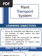 Plant Transport Systems Explained | PDF