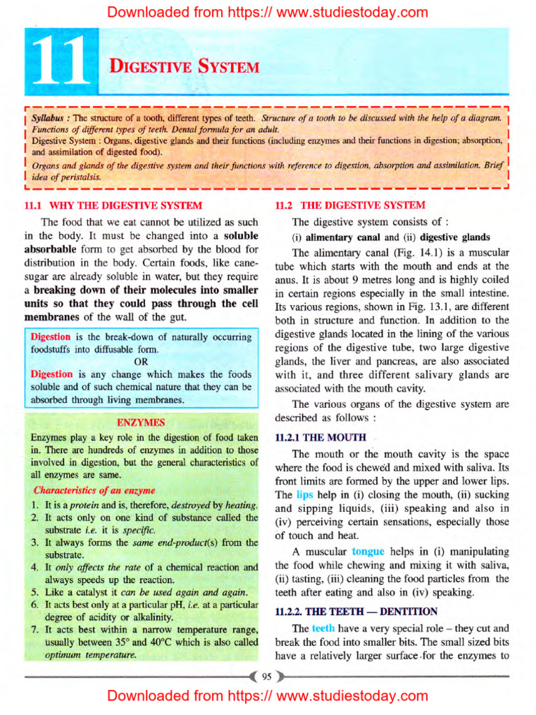 ICSE Selina Class 9 Biology Chapter 11 Digestive System | PDF