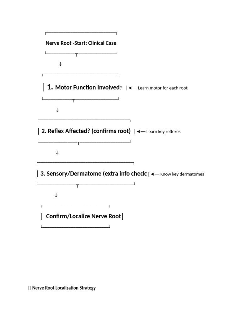 Nerve Root | PDF